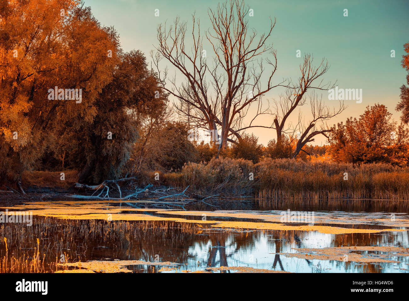 Magically lake hi-res stock photography and images - Alamy