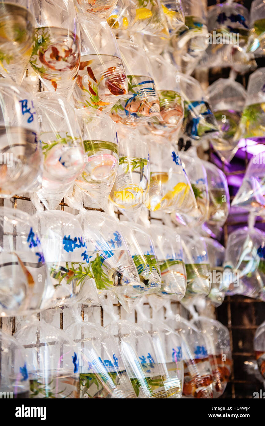 Bags of fish hi-res stock photography and images - Alamy