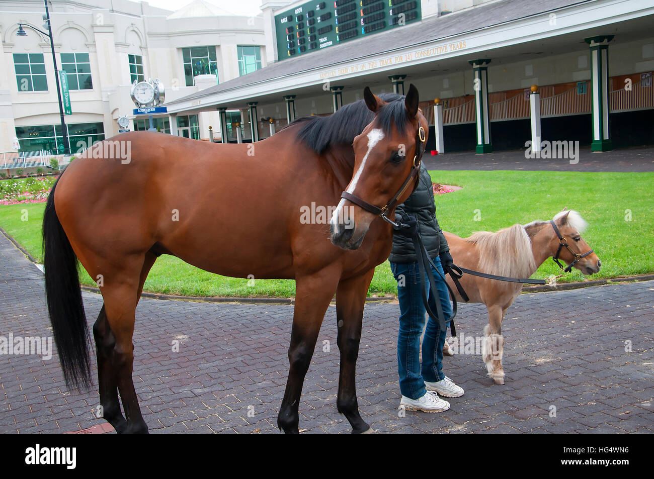 Churchill Downs Racetrack home of the Kentucky Derby in Louisville USA ...