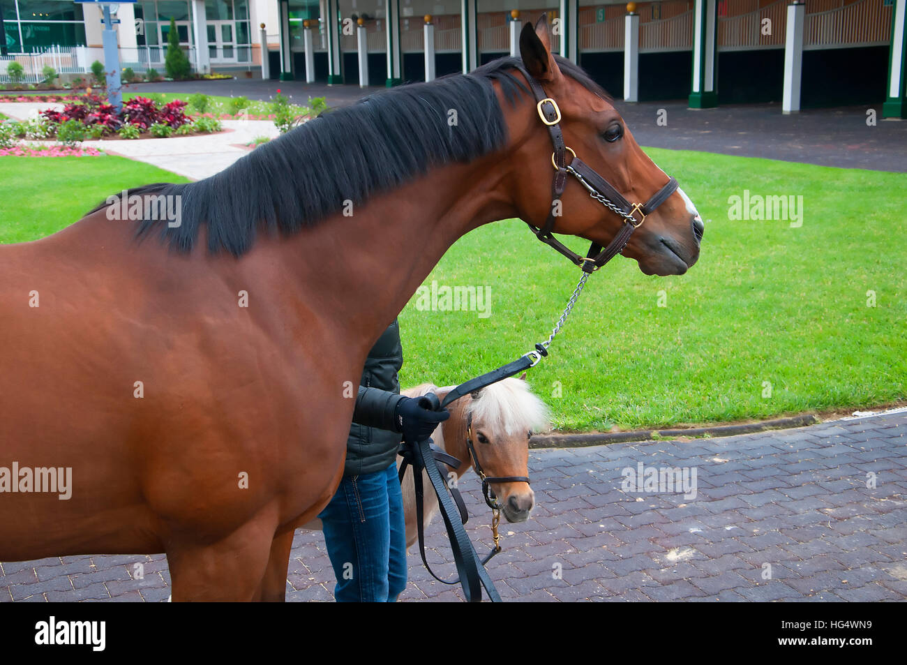 Churchill Downs Racetrack home of the Kentucky Derby in Louisville USA ...