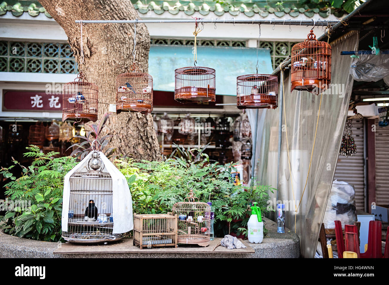 Chinese bird cages hi-res stock photography and images - Alamy