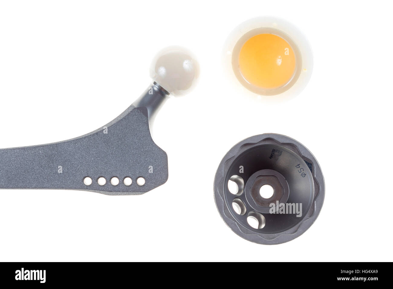 Endoprosthesis, artificial hip joint, consists of the hip stem, ball ...