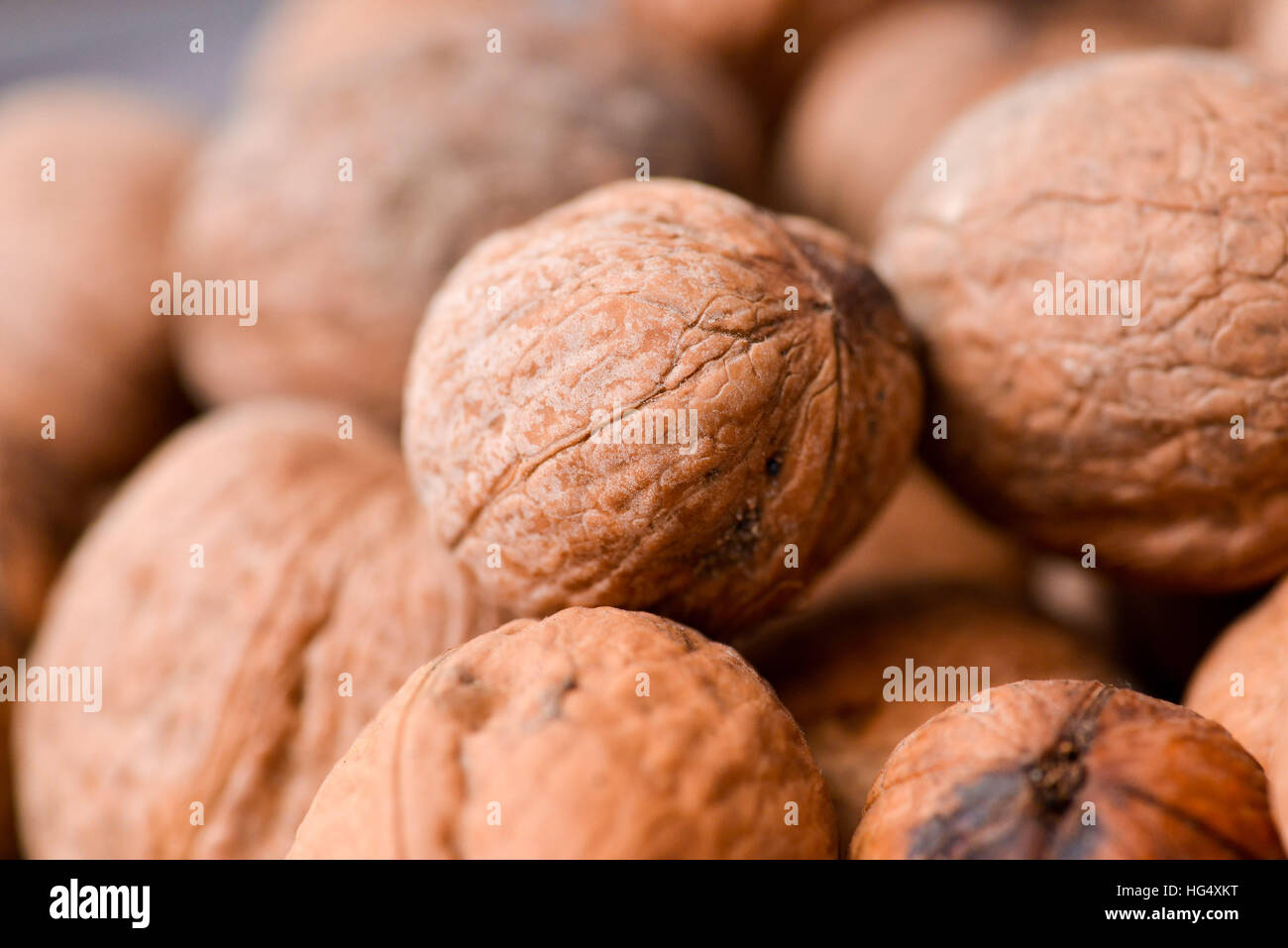 Nut shell hi-res stock photography and images - Alamy