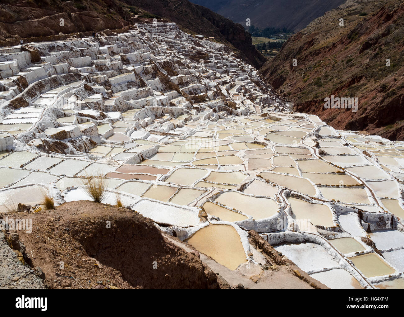 Marasal Salt Mine at Maras, Sacred Valley, Peru Stock Photo - Alamy