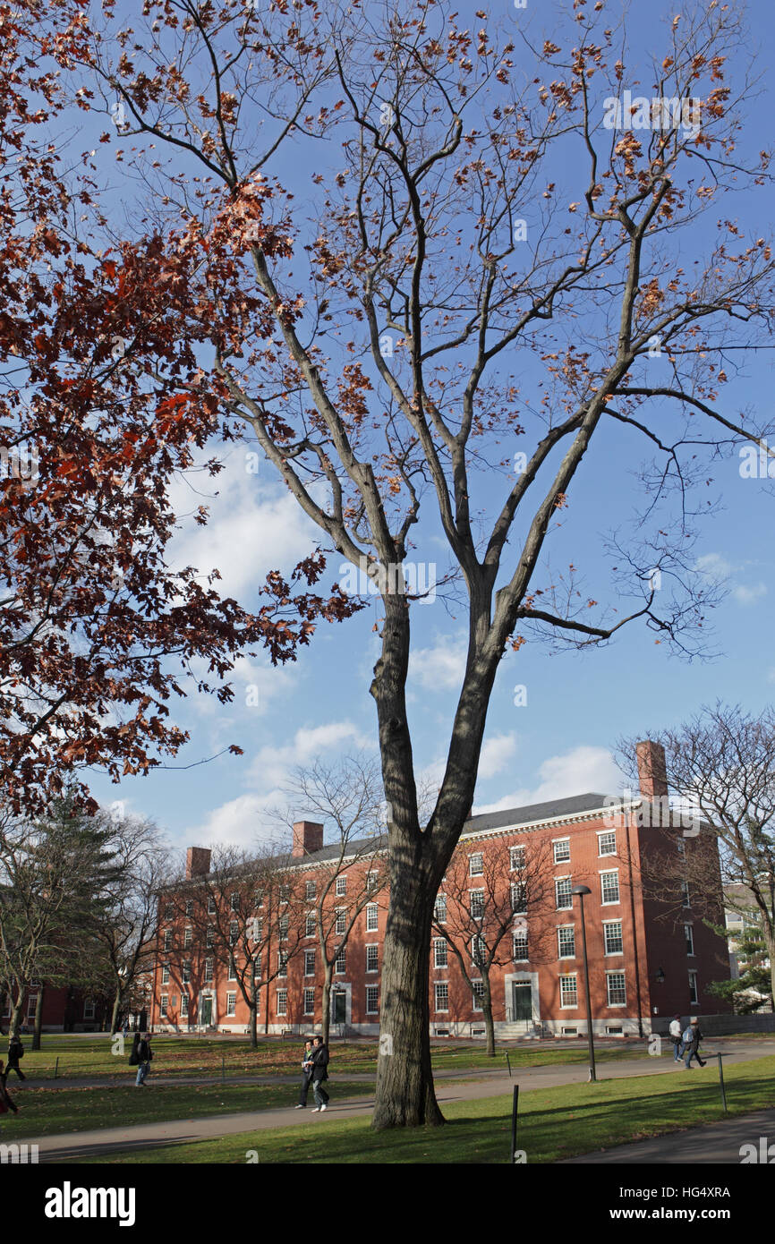 Harvard university campus view hi-res stock photography and images - Alamy