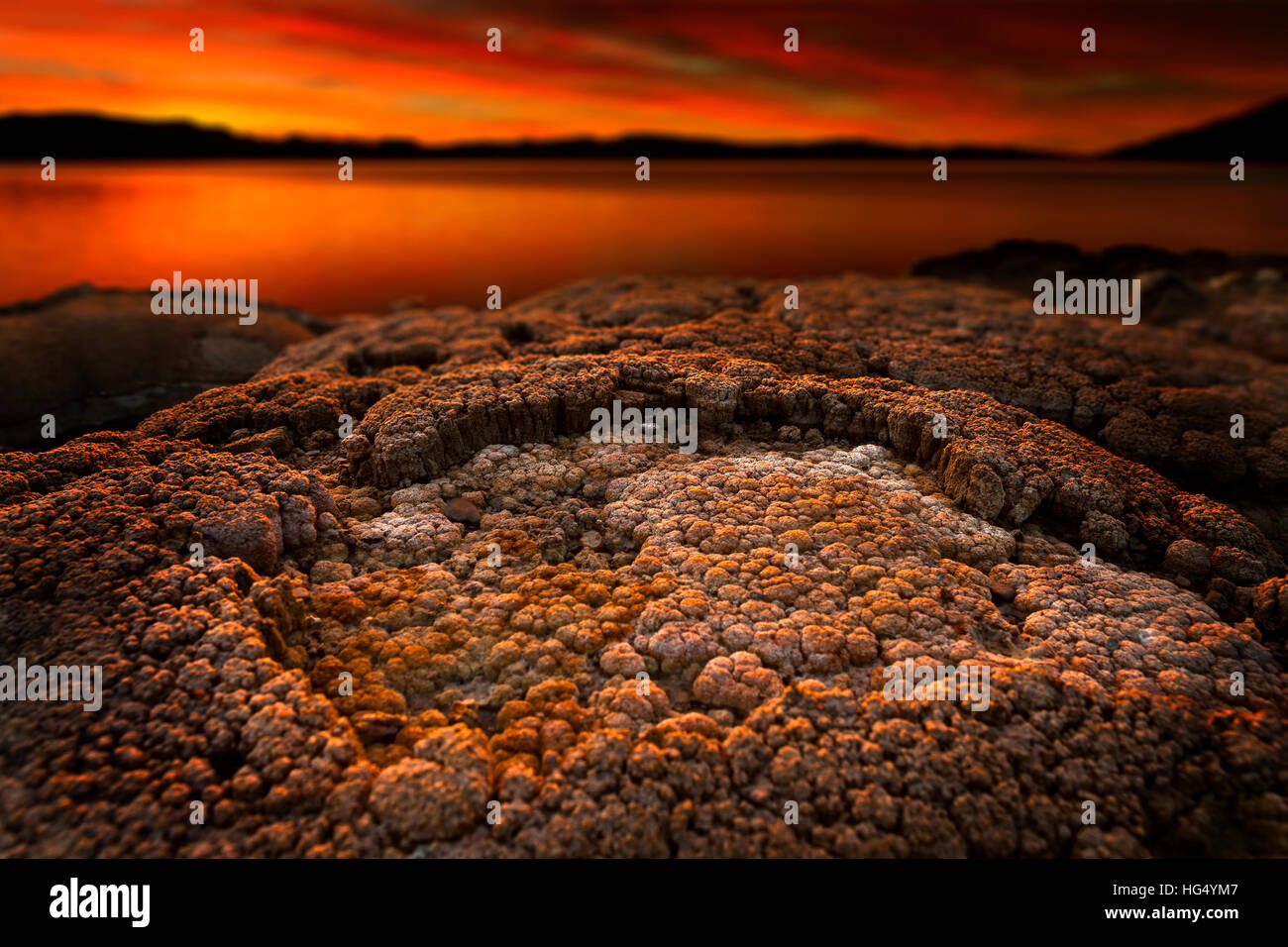 Tufa rock at Pyramid Lake, Nevada at sunrise Stock Photo - Alamy