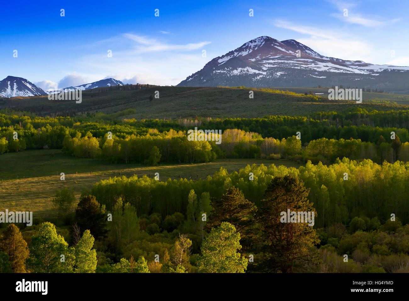 Conway Summit near Bridgeport, CA in afternoon light Stock Photo - Alamy