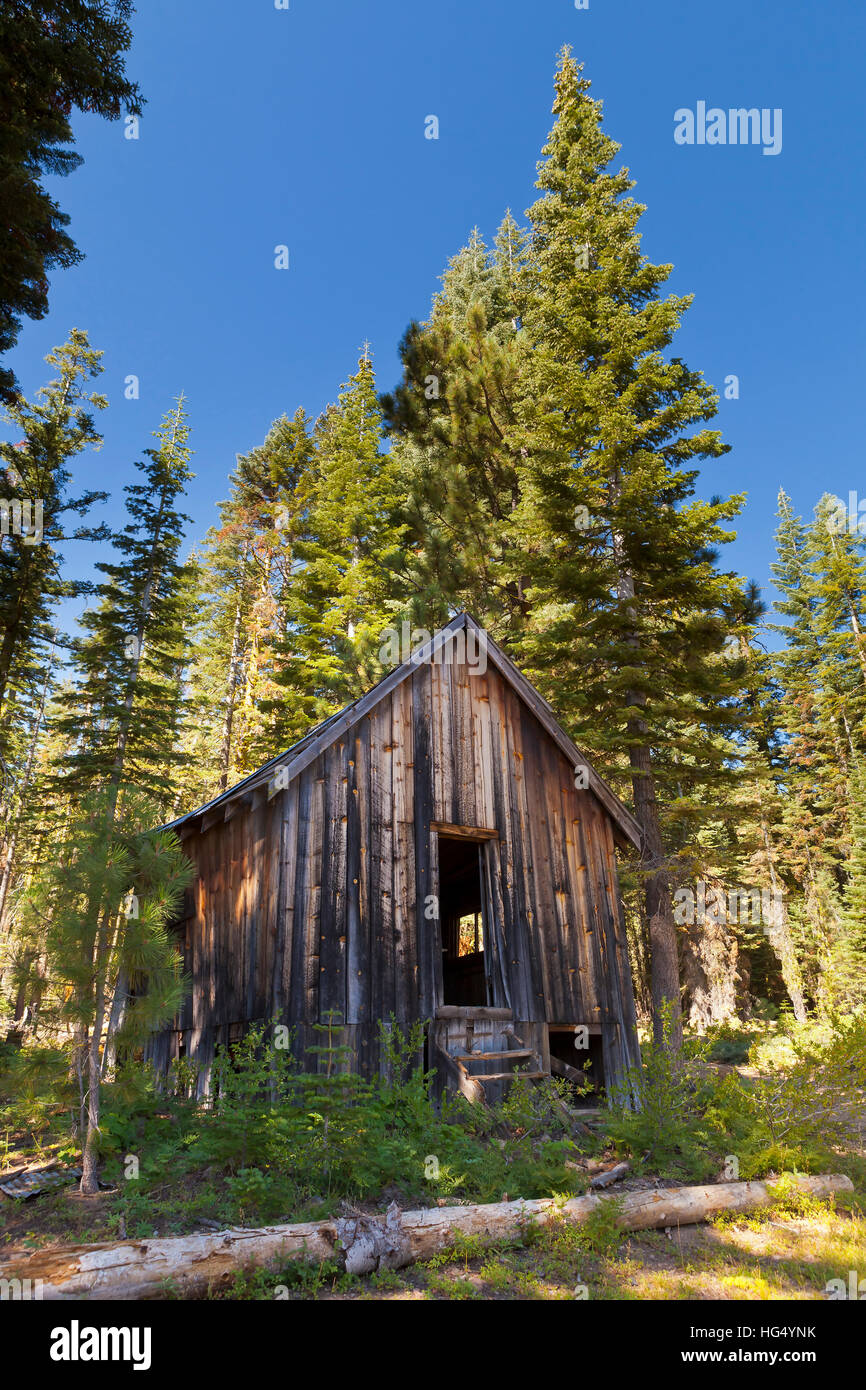 Old abandoned shack in the woods in ghost town of the Lucky S Mine ...