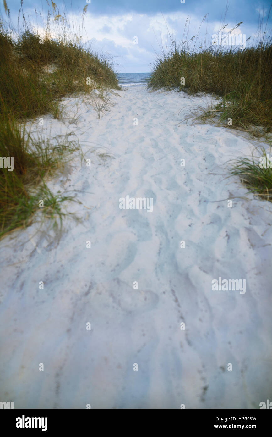 Pathway in sand dune to beach Stock Photo - Alamy