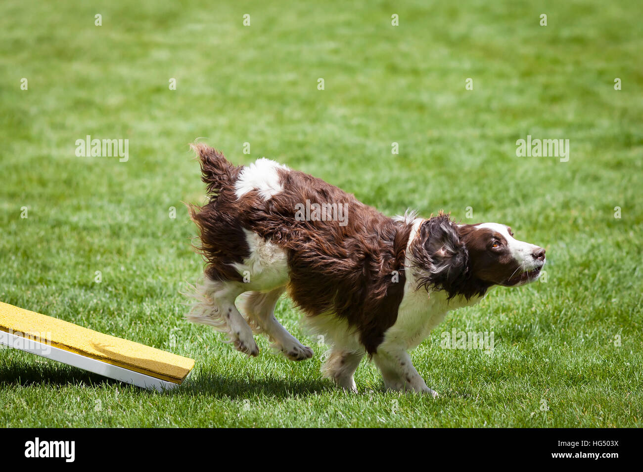 Running see saw hi-res stock photography and images - Alamy