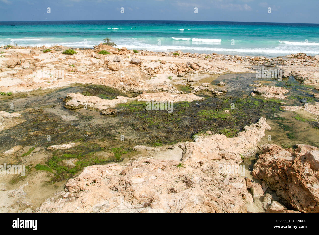 Arher (Socotra island) - 15 January 2008: freshwater stream that flows into the sea at Arher ...