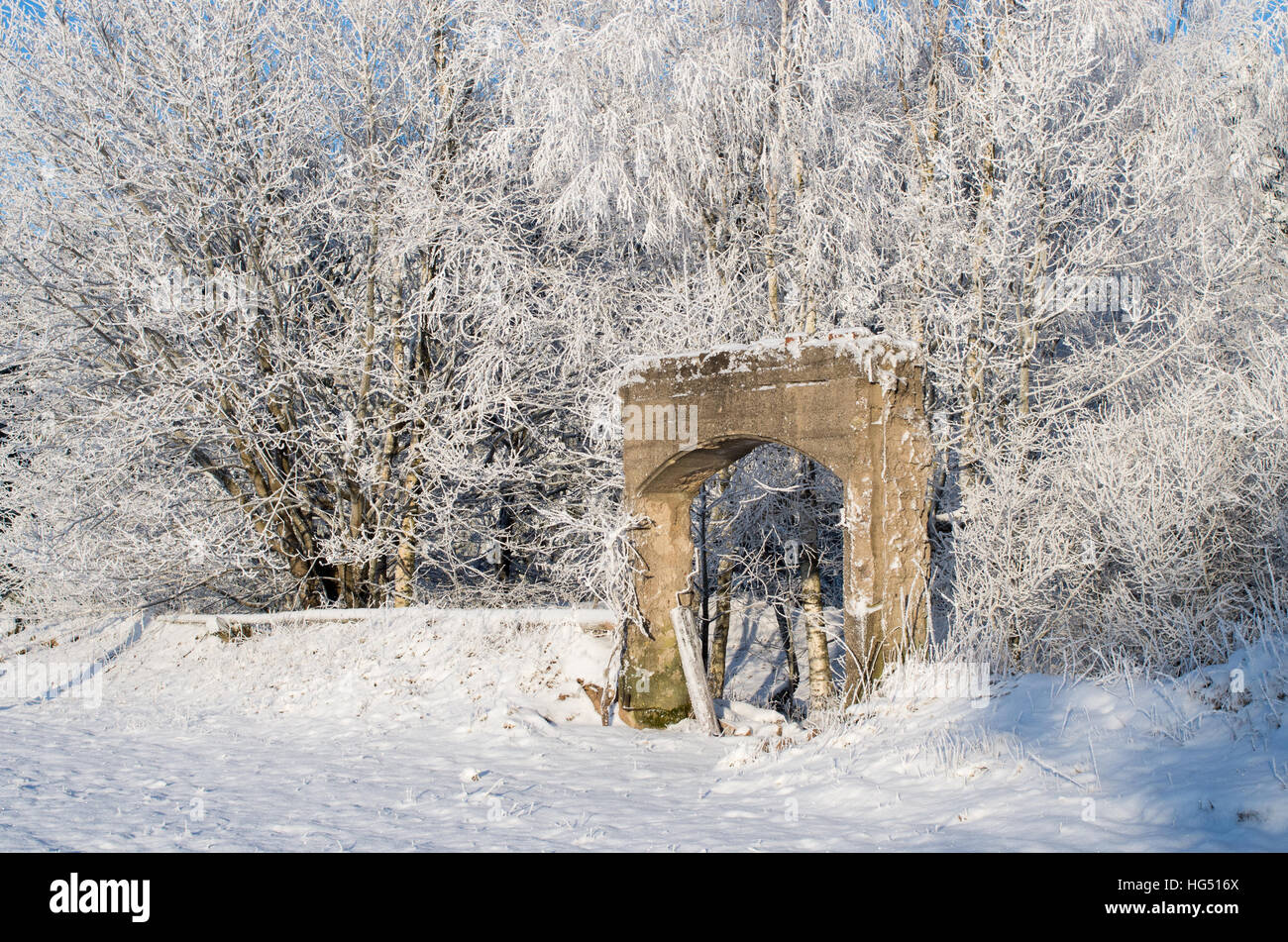 Gate entrance winter forest hi-res stock photography and images - Alamy