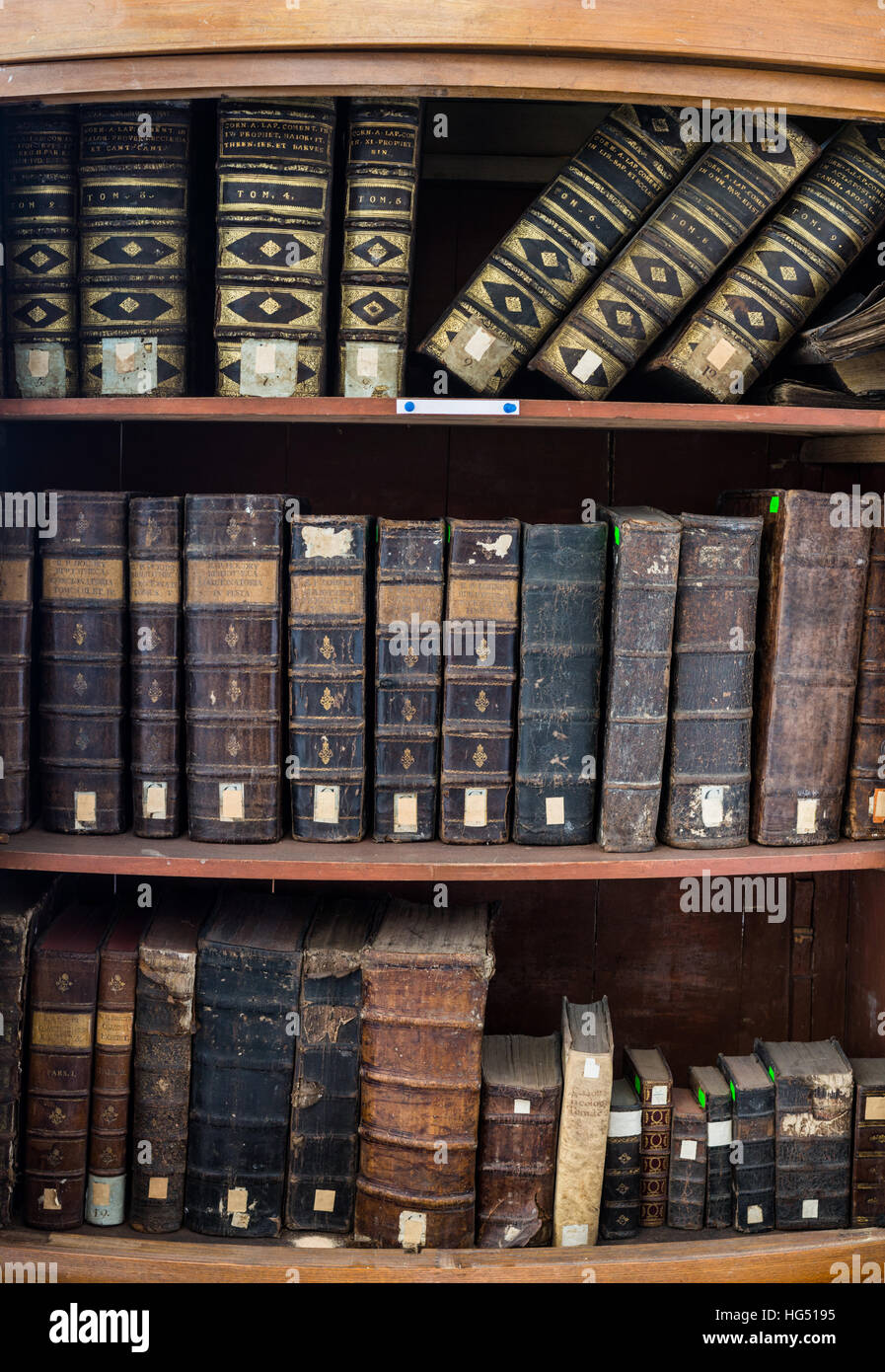 Interior book shelf bookshelf hi-res stock photography and images - Alamy