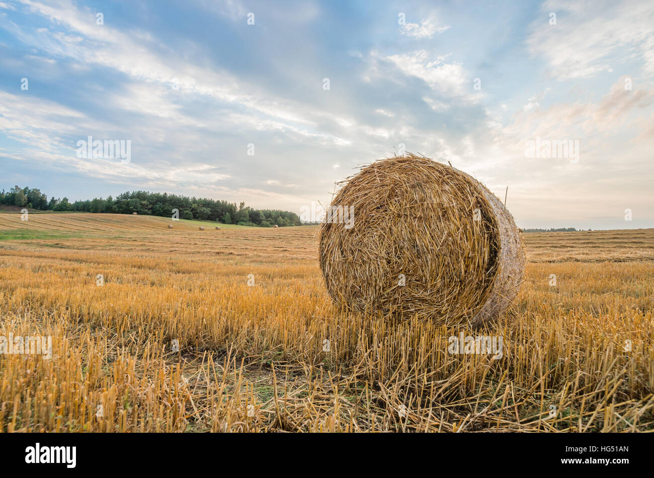 Meadows and arable land hi-res stock photography and images - Alamy