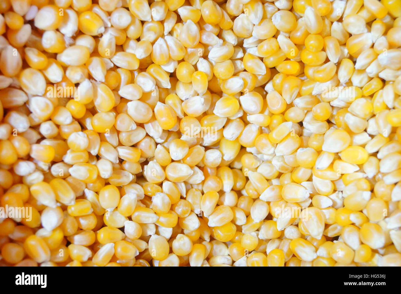 A stack of corn kernels as a raw material for popcorn Stock Photo - Alamy