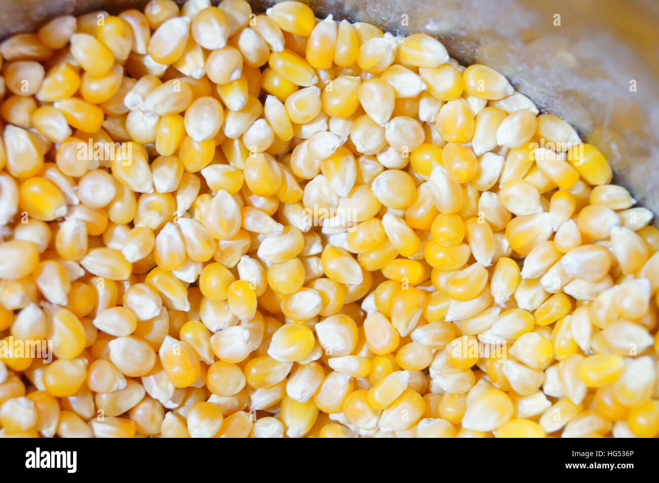 A stack of corn kernels as a raw material for popcorn Stock Photo - Alamy