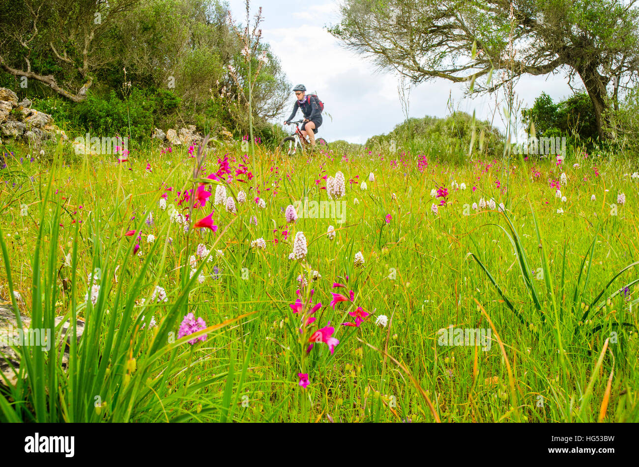 Spring cyclist hi-res stock photography and images - Alamy