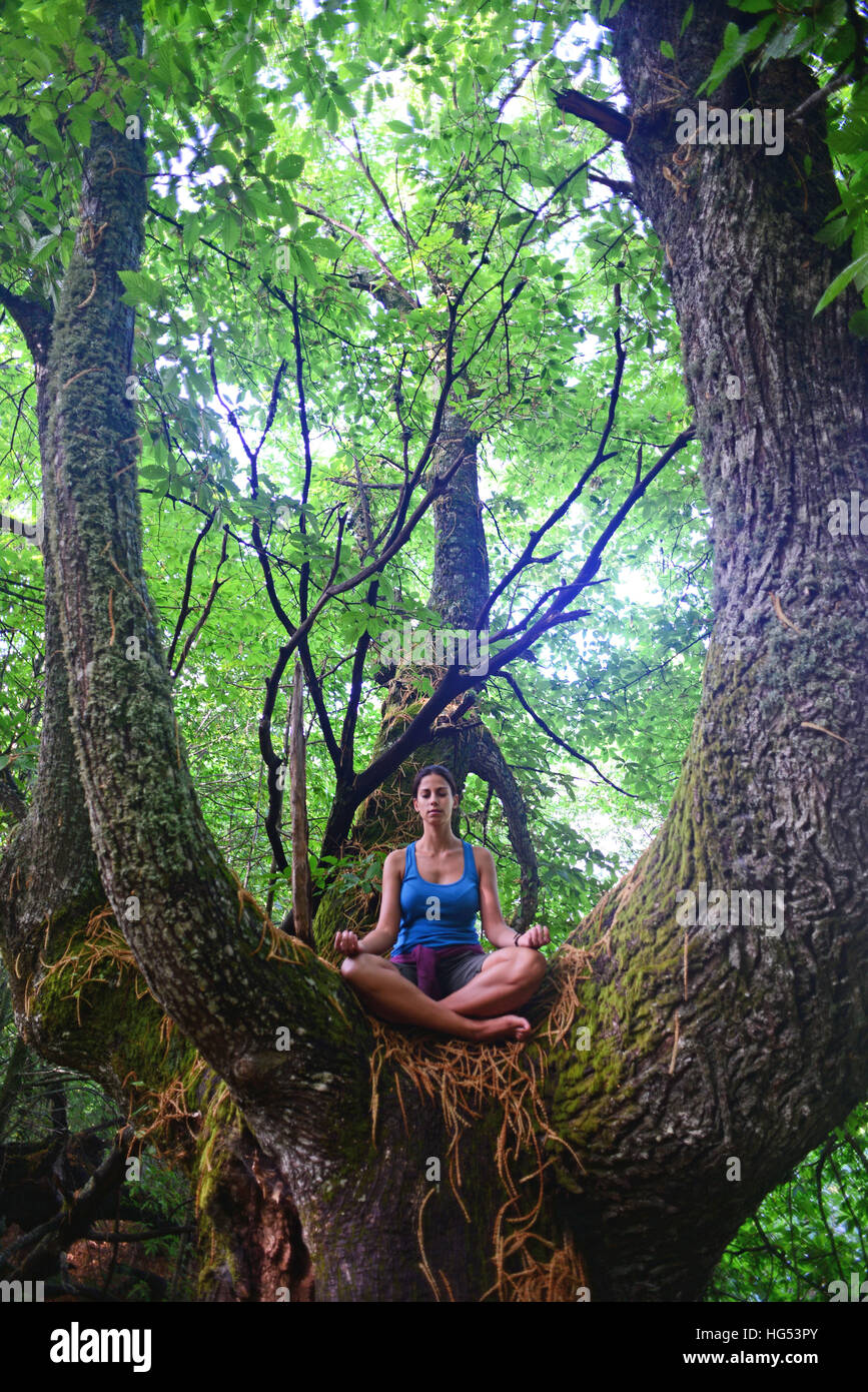 Natural pose on tree hi-res stock photography and images - Alamy
