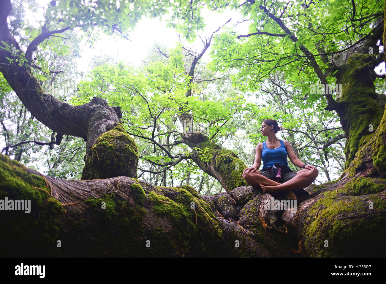 Natural pose on tree hi-res stock photography and images - Alamy