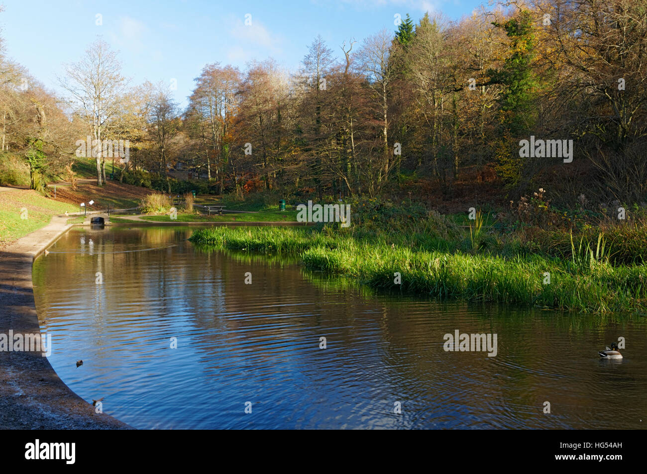 Pontypool Park High Resolution Stock Photography and Images - Alamy