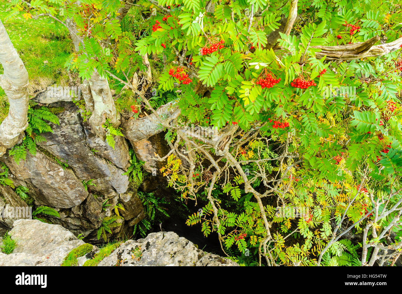 Kingsdale hi-res stock photography and images - Alamy