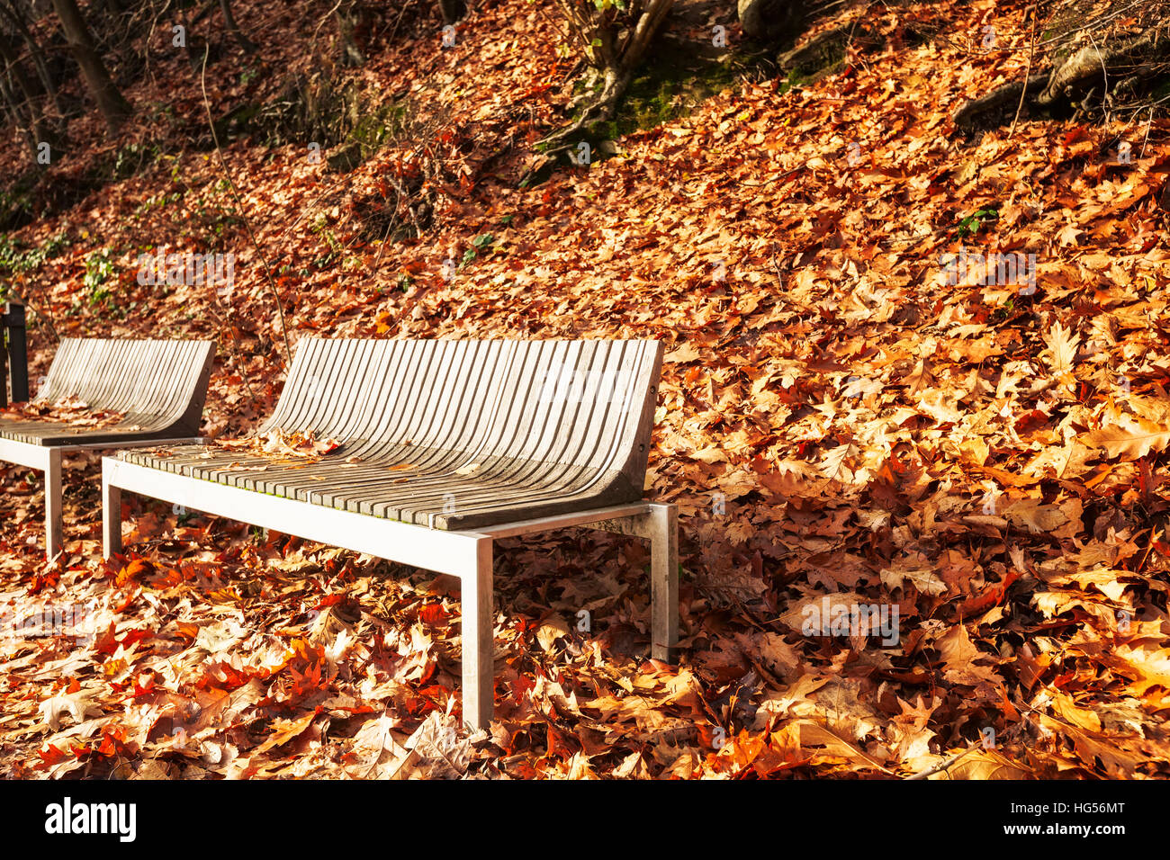Walking park autumn detail hi-res stock photography and images - Alamy