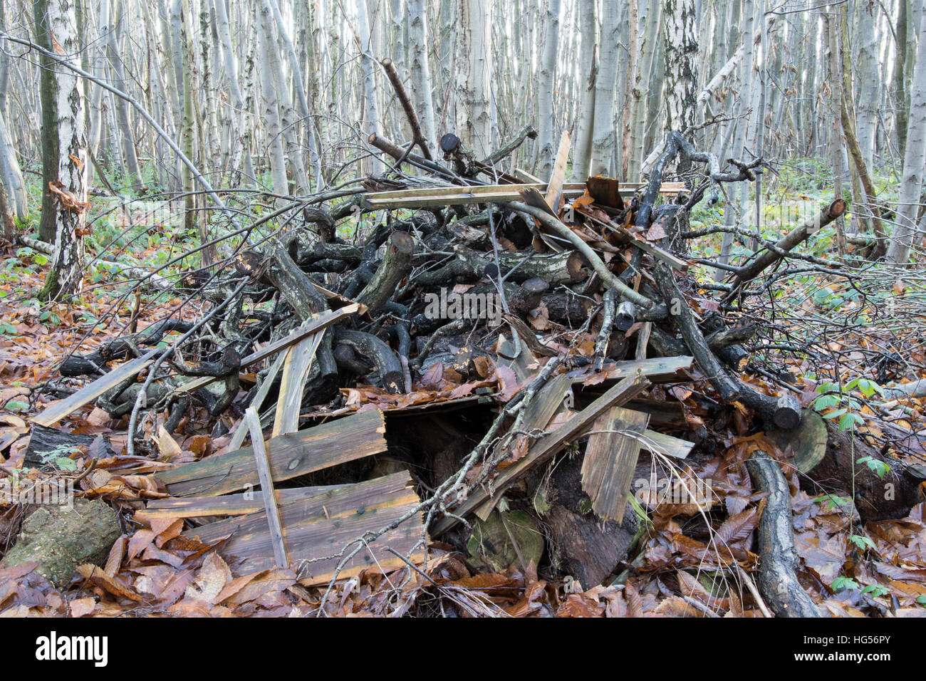 Pile Of Twigs Stock Photos & Pile Of Twigs Stock Images - Alamy