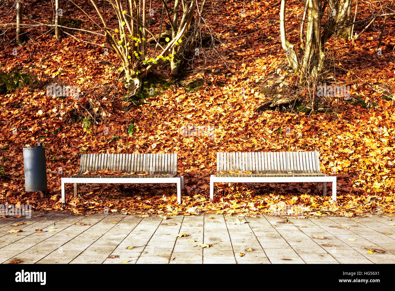 Bench in autumn park. Forest hill with fall foliage, couple of modern ...