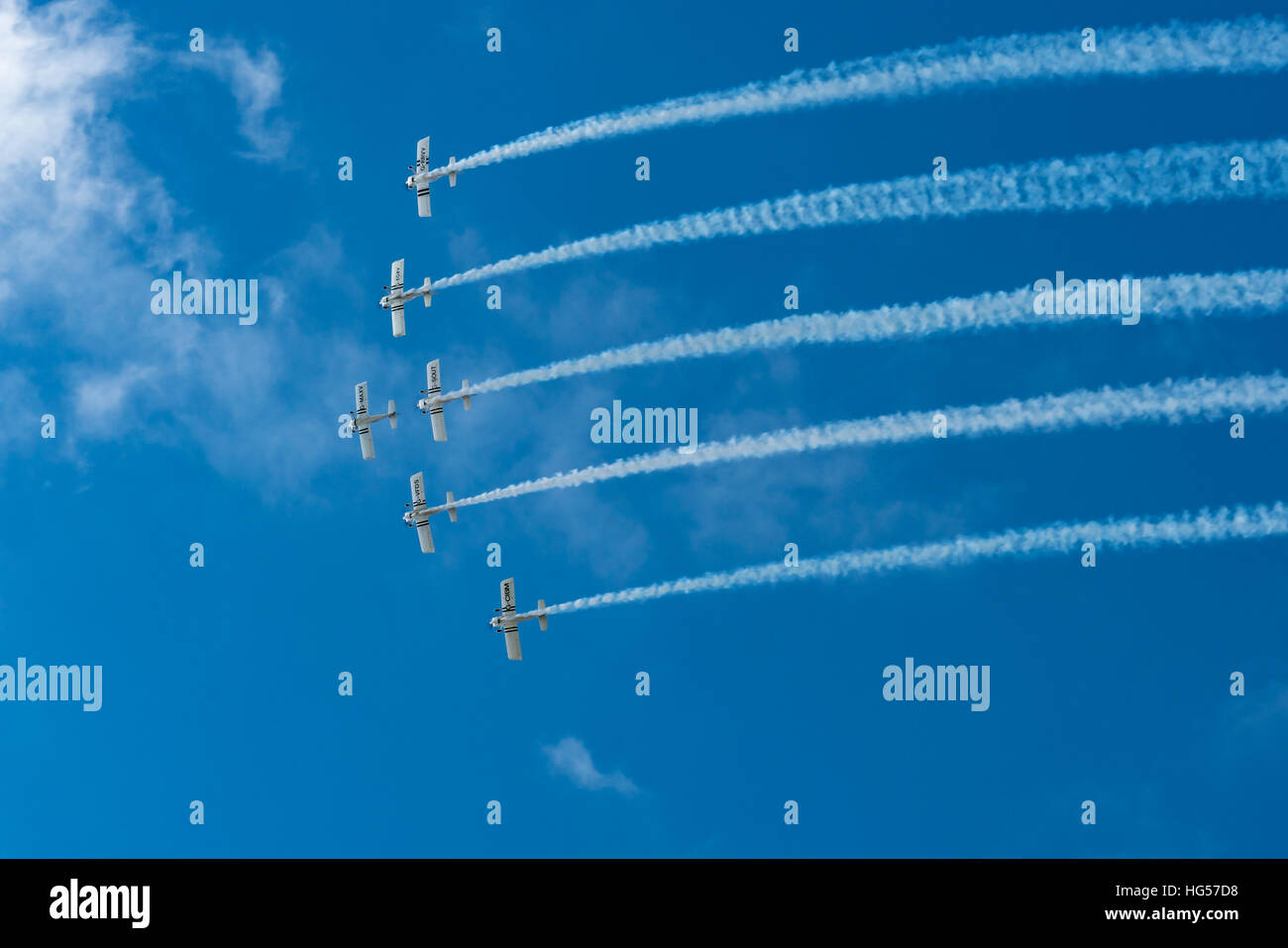 Raven display team hi-res stock photography and images - Alamy