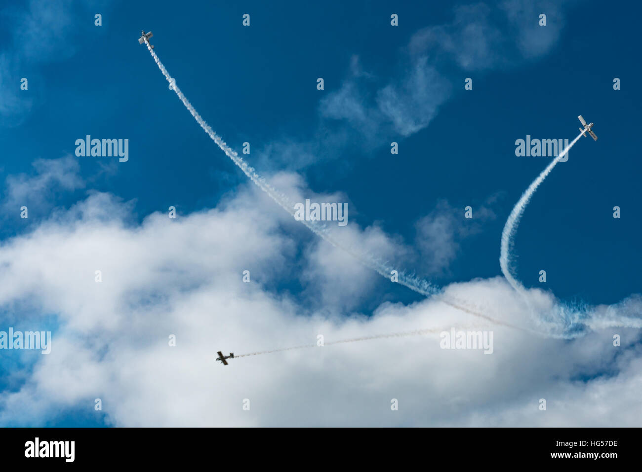 Raven display team hi-res stock photography and images - Alamy
