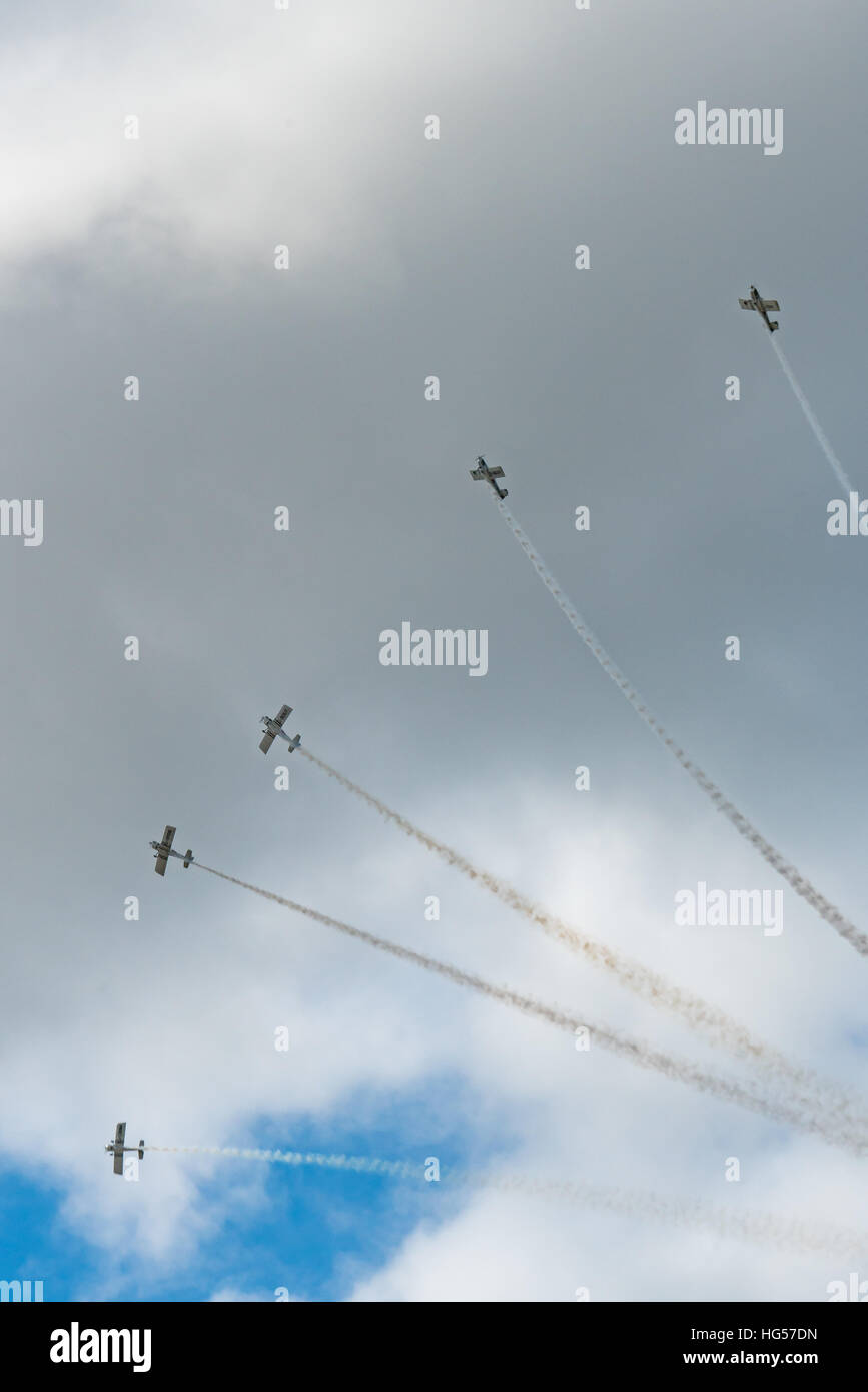 Raven display team hi-res stock photography and images - Alamy