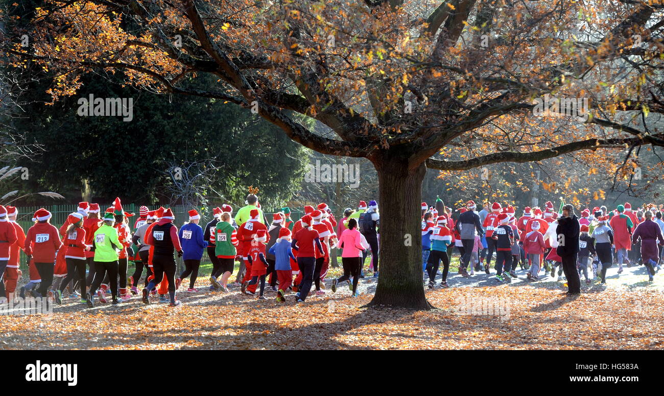 Riding for the disabled association hi-res stock photography and images ...