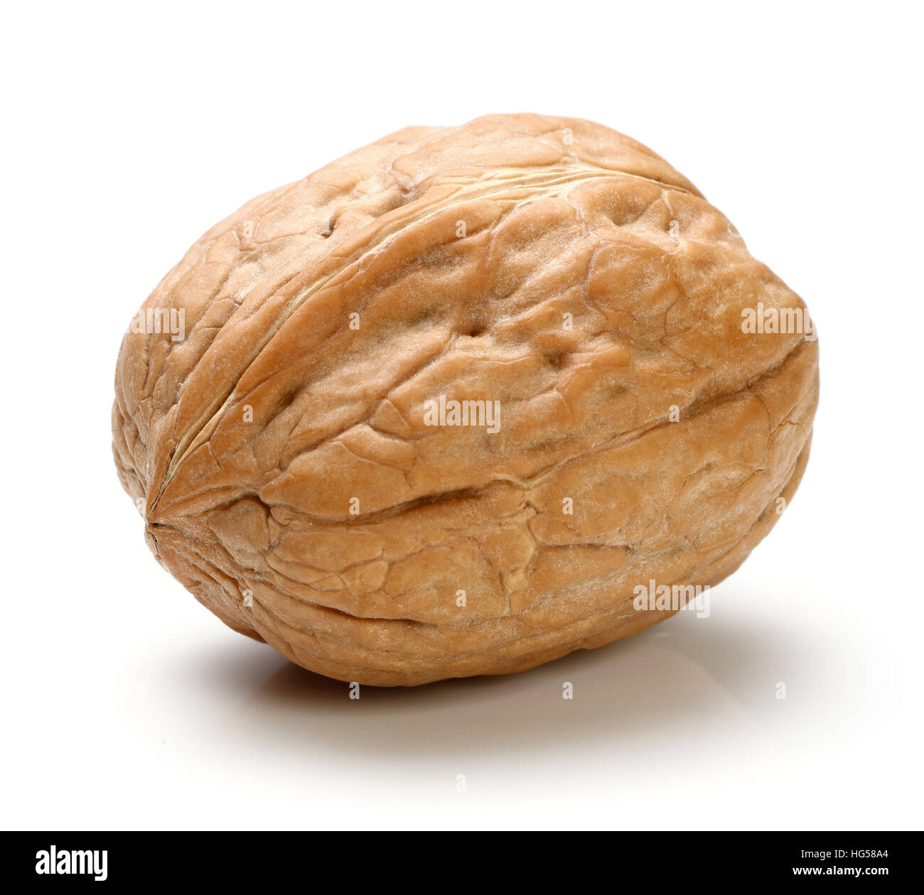 Walnut isolated on a white background Stock Photo - Alamy