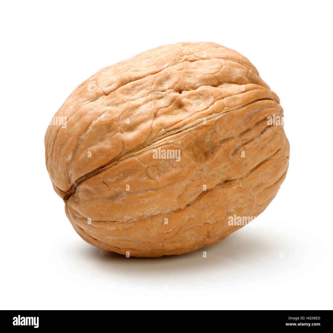 Walnut isolated on a white background Stock Photo - Alamy