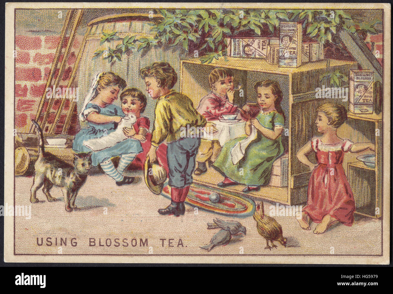 Tea trade hi-res stock photography and images - Alamy