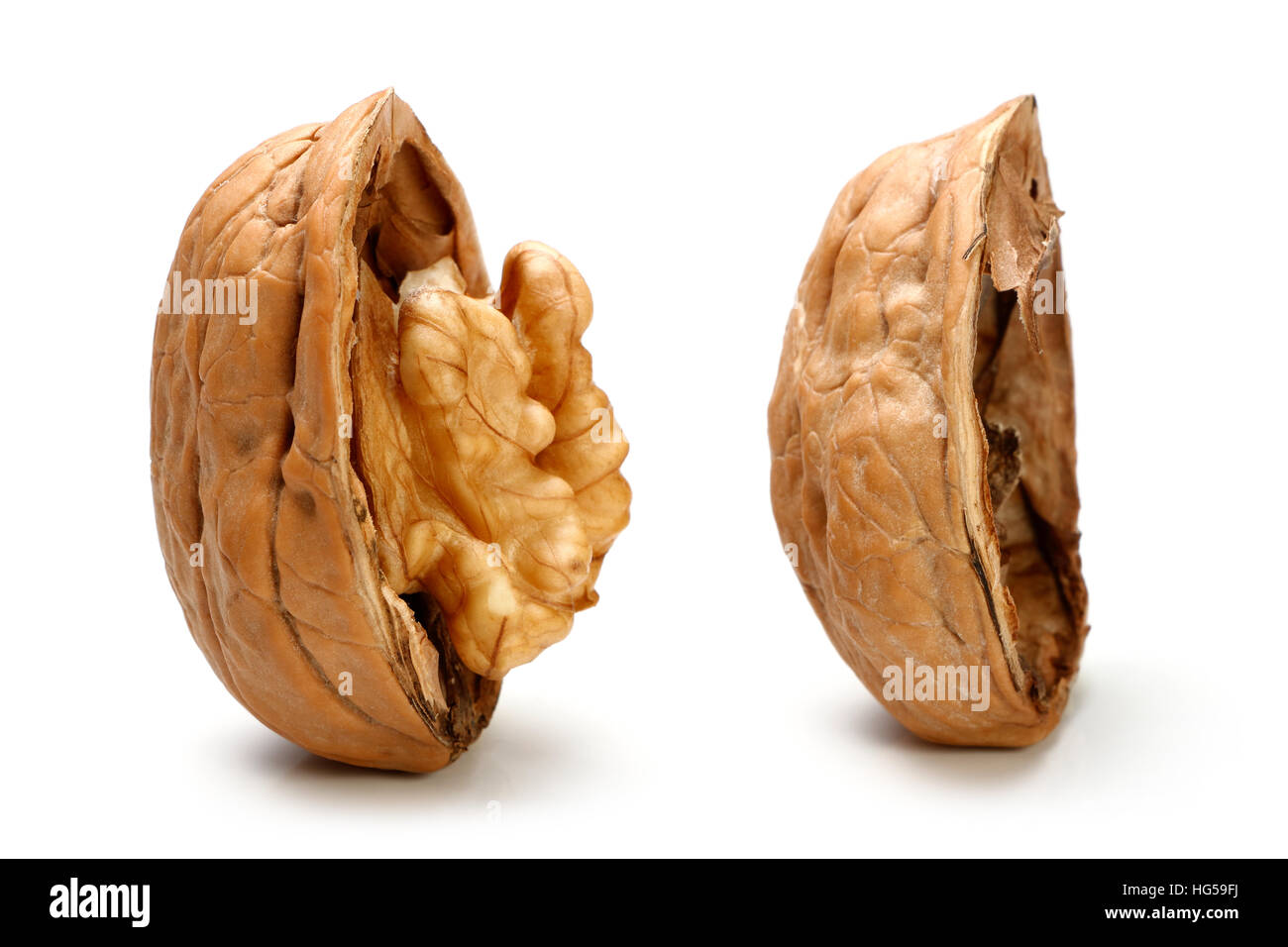 Walnut brain hi-res stock photography and images - Alamy