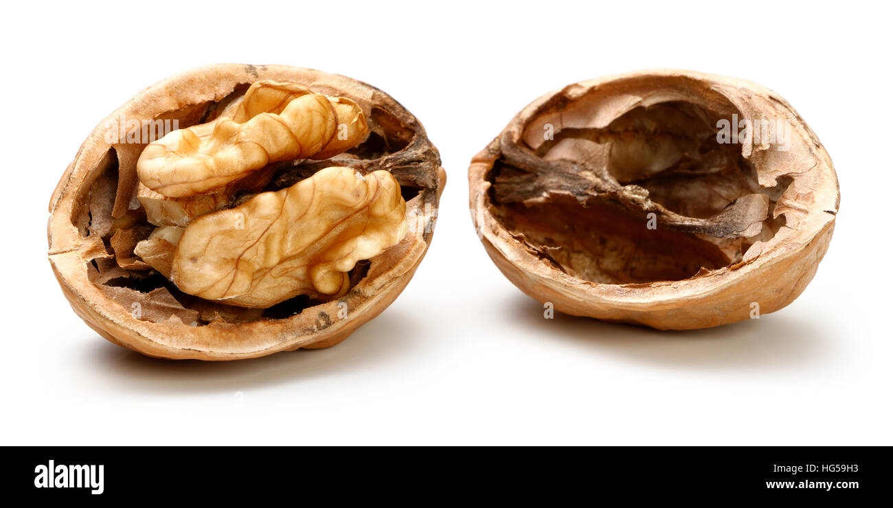 Half piece walnut Cut Out Stock Images & Pictures - Alamy