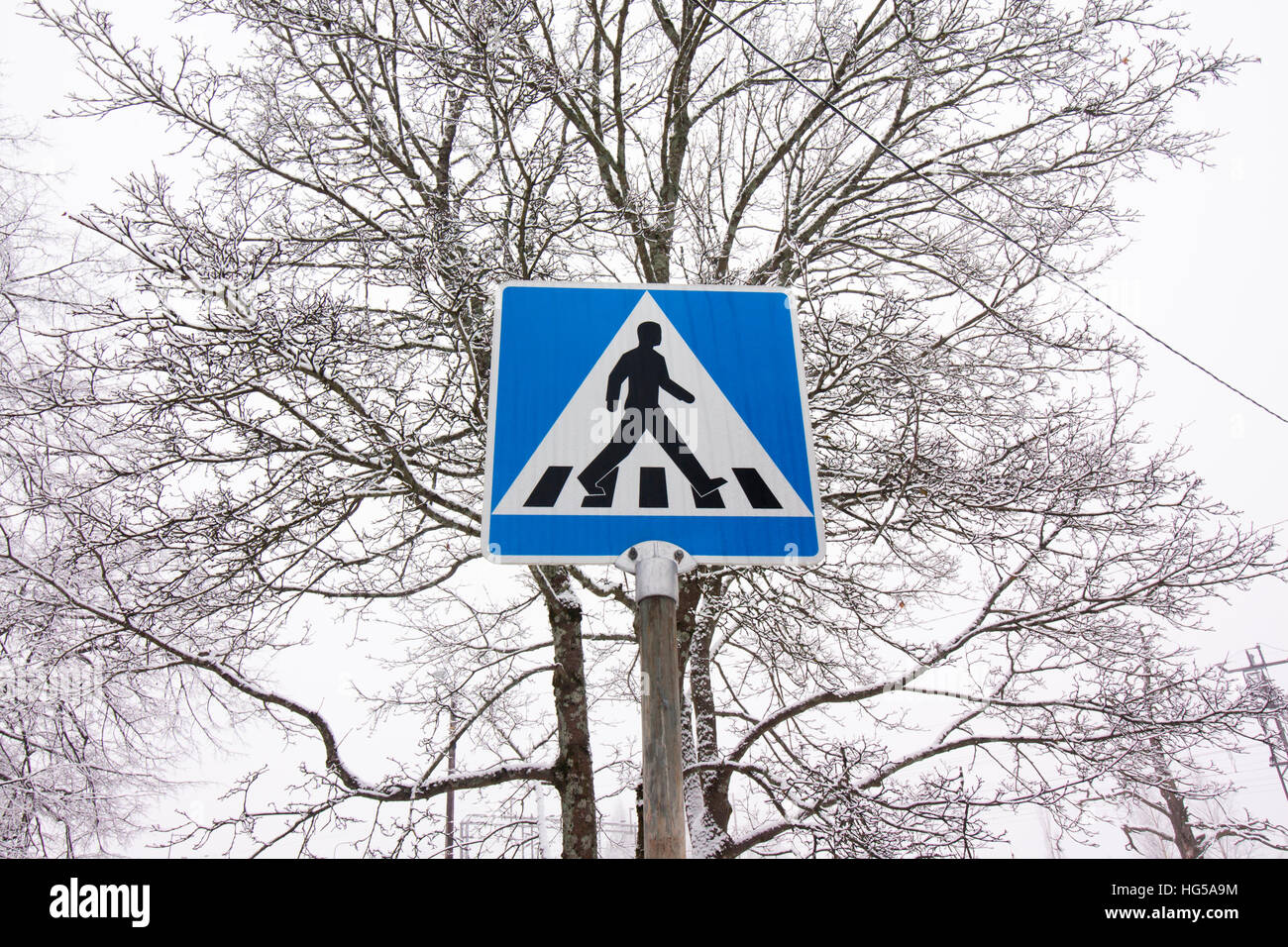 Pedestrian crossing road sign on winter sky background Stock Photo - Alamy