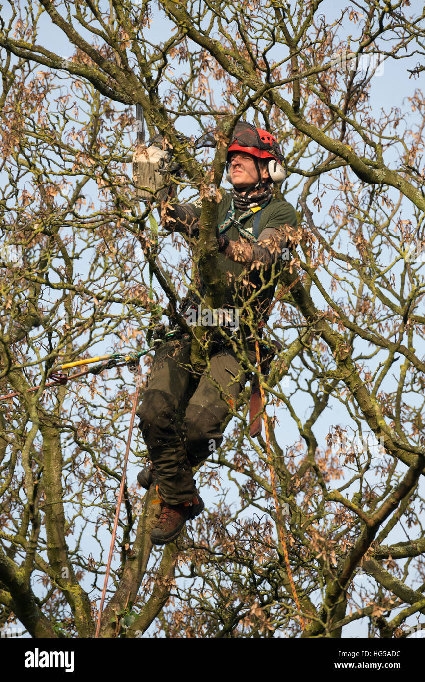 Hard cutting back hi-res stock photography and images - Alamy