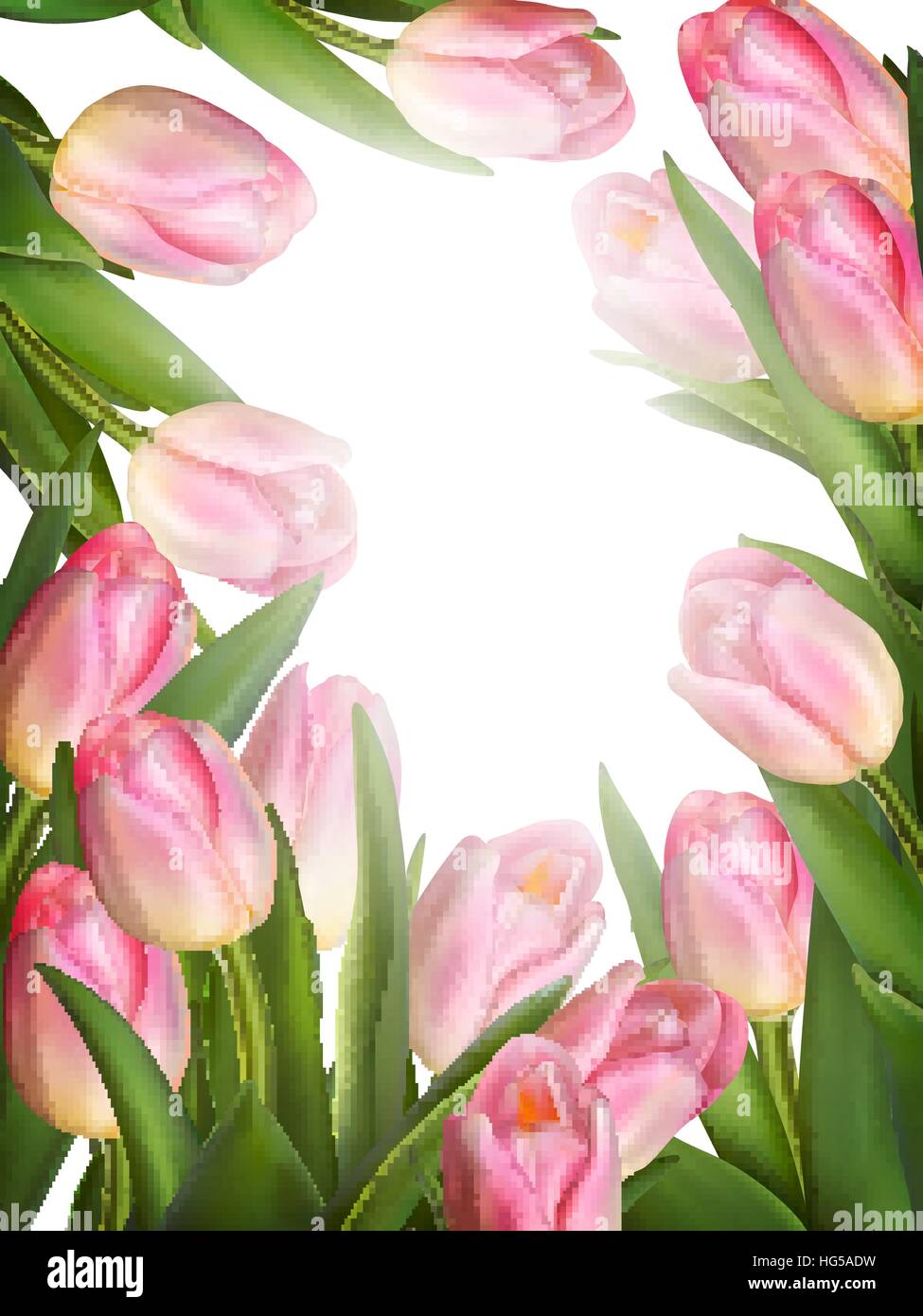 Pink paper tulips on Stock Vector Images - Alamy