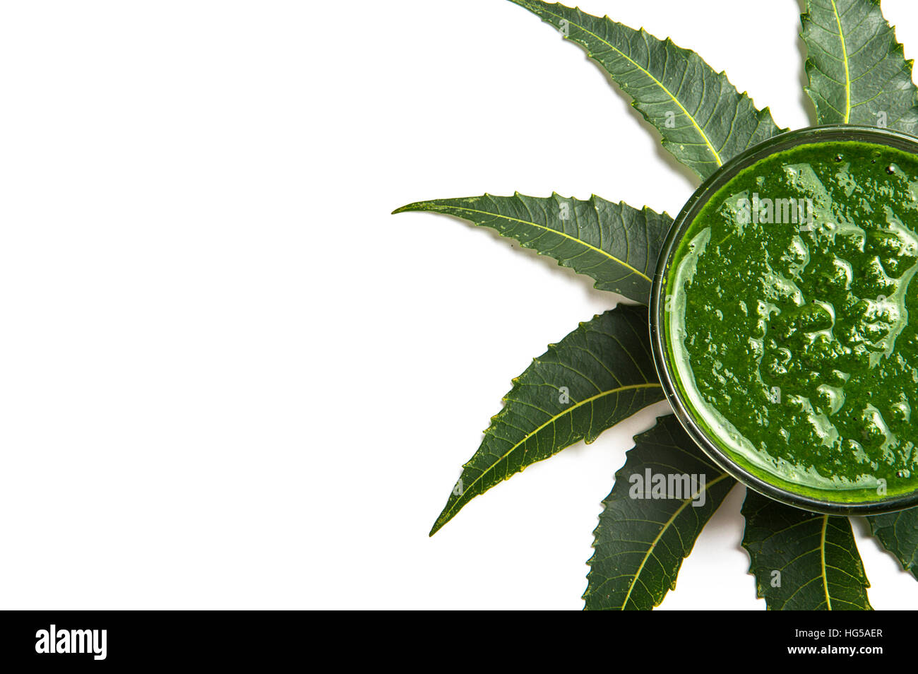 Medicinal Neem leaves with paste in bowl on white background Stock ...