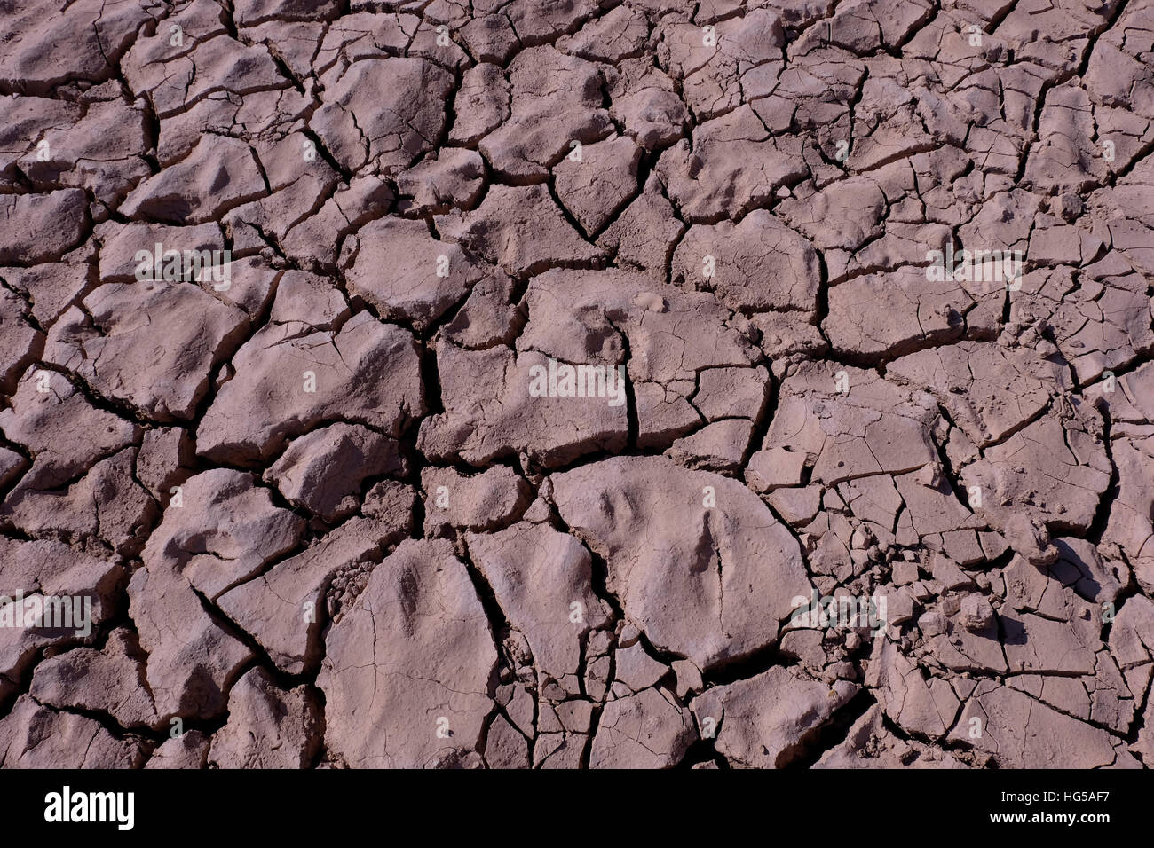 Cracked mud at the Large Makhtesh Ramon Crater a geological landform ...