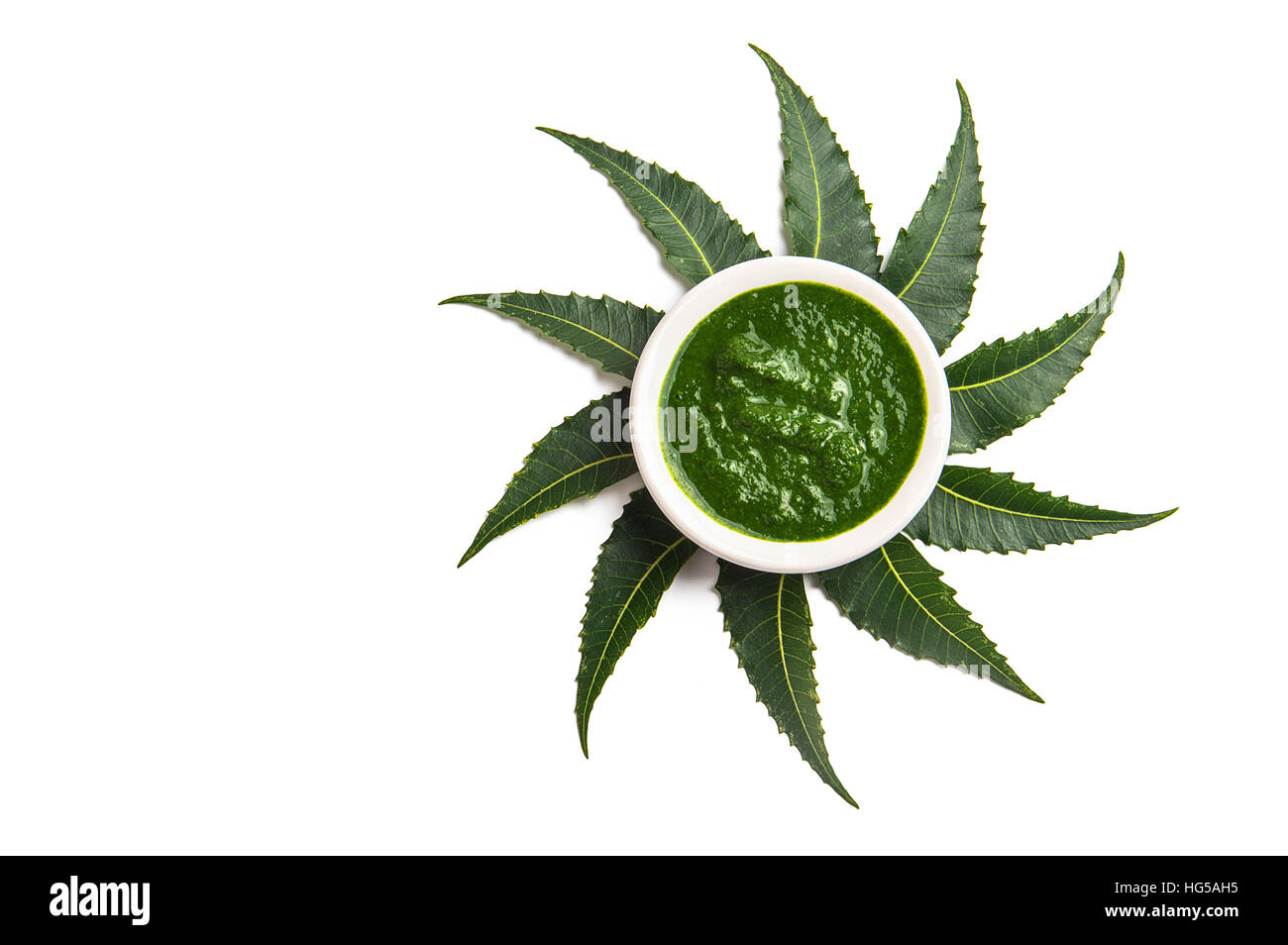 Medicinal Neem leaves with paste in bowl on white background Stock ...