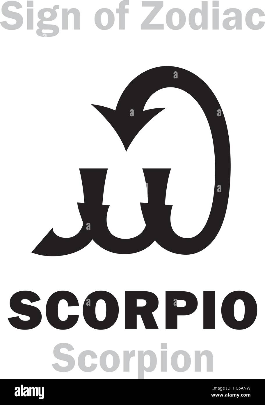 Astrology: Sign of Zodiac SCORPIO (The Scorpion Stock Vector Image ...