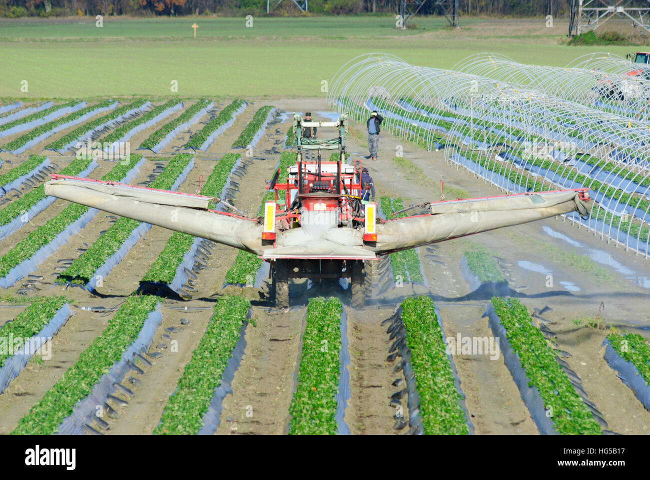 Spraying of plant protection products by tractor, Donau ...
