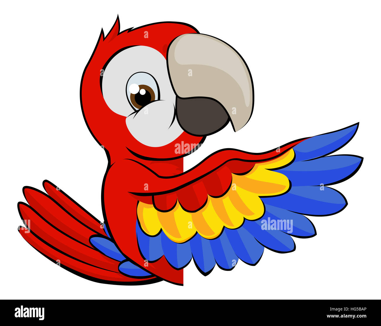 Captain bird Cut Out Stock Images & Pictures - Alamy