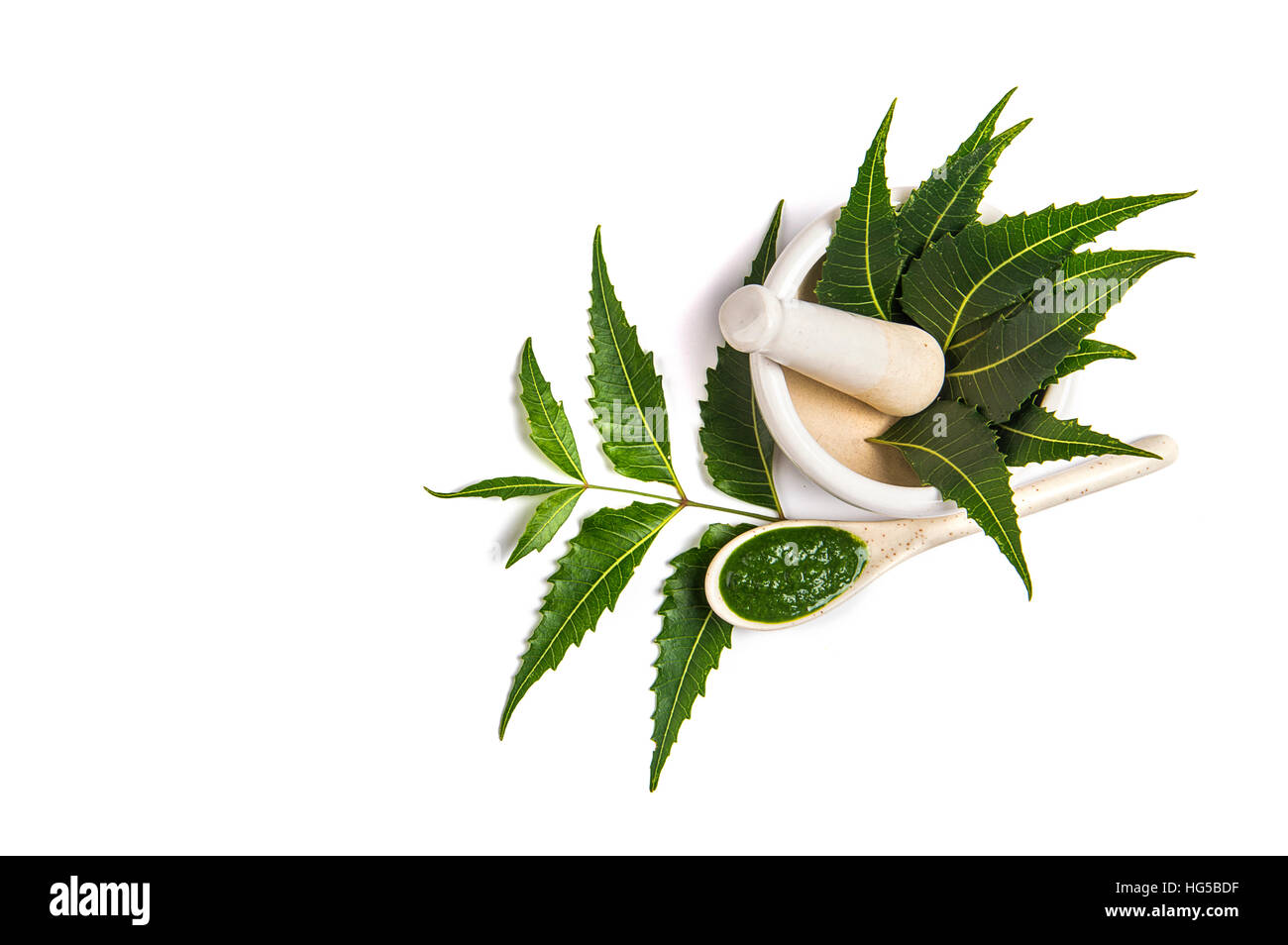 Medicinal Neem leaves in mortar and pestle with neem paste on white ...