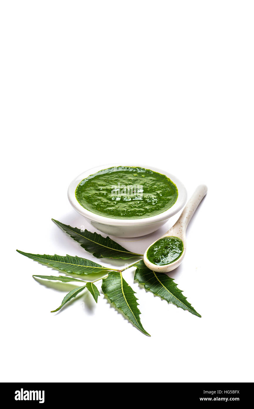 Medicinal Neem leaves with neem paste in spoon and plate on white ...