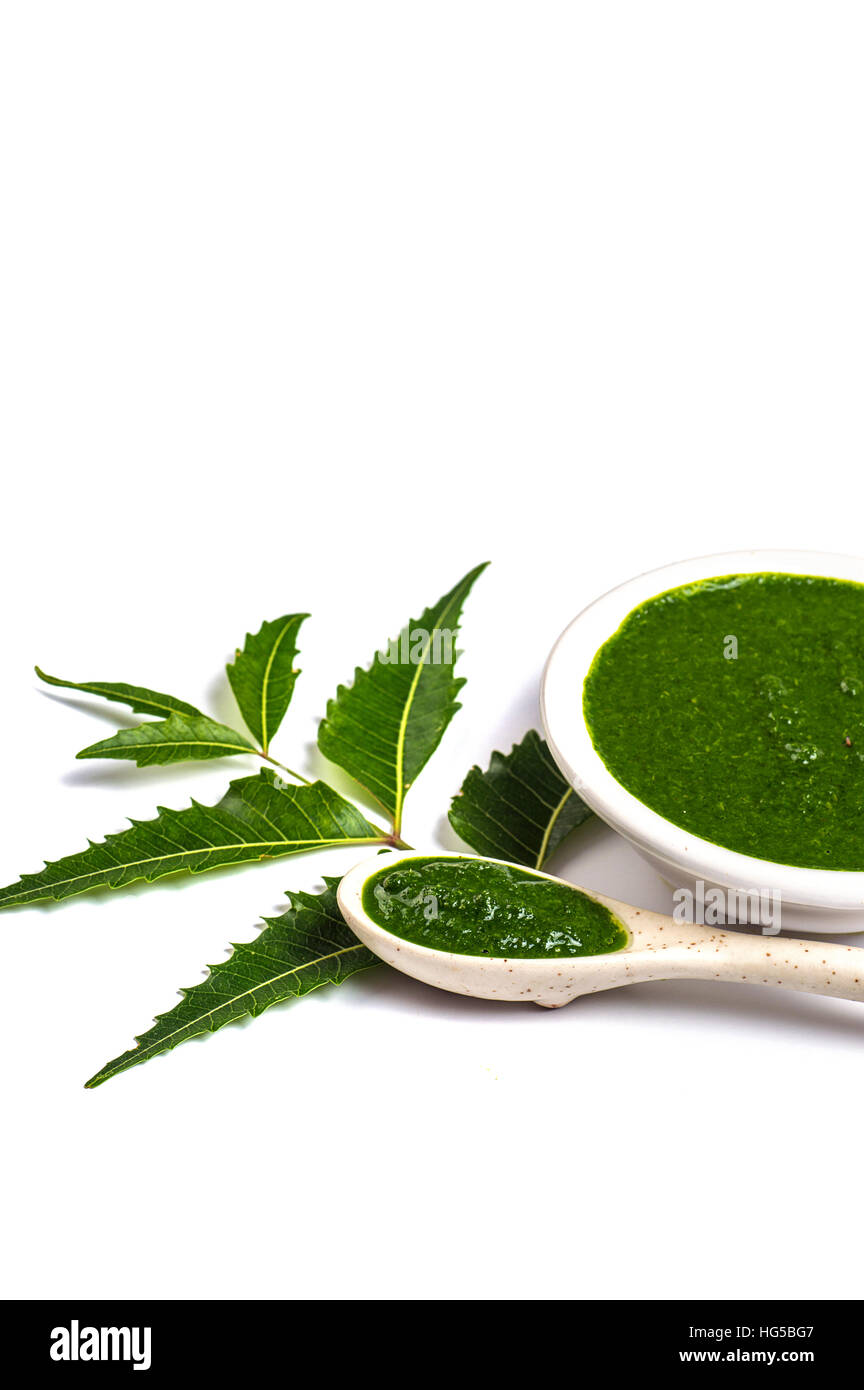 Medicinal Neem leaves with neem paste in spoon and plate on white ...