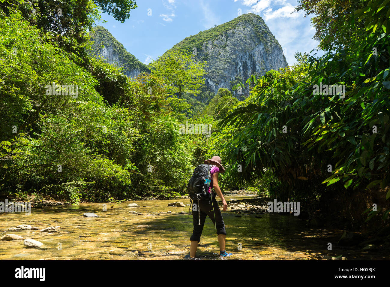 Trekking jungle hi-res stock photography and images - Alamy